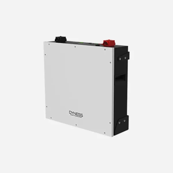 Dyness DL5.0C Lithium Ion Battery 51.2V 100Ah - surgeenergies.ae